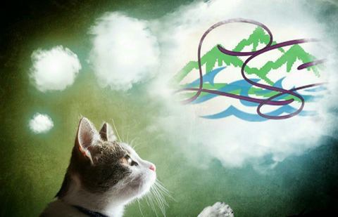 #MondayBlogs and Spring Fever! | Laura Stapleton, Author